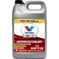 Valvoline Zerex Asian RED Vehicle Antifreeze / Coolant - 1 Gallon ...