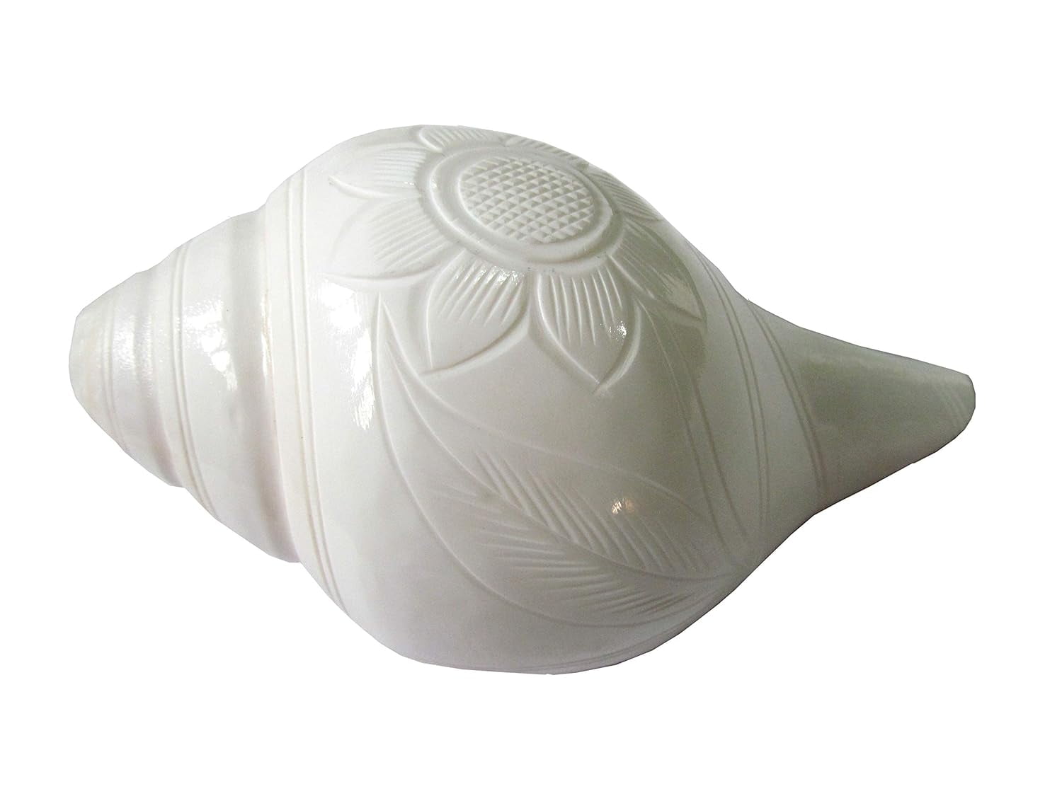 Vamavarti Original, Engraved Premium Natural Conch Shell Loud Blowing ...