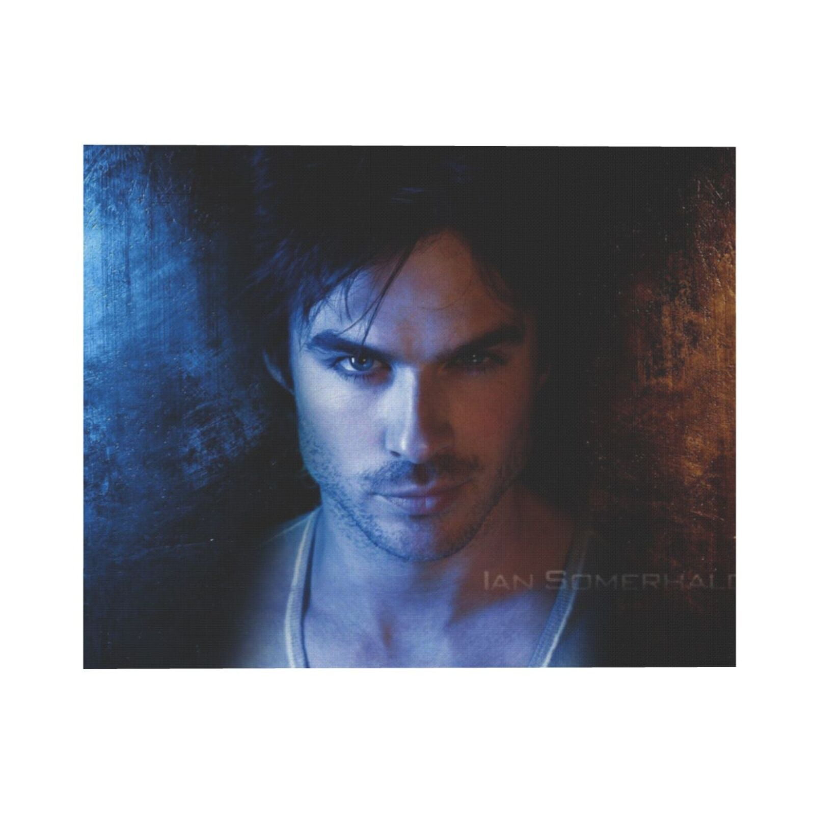 Vampire Diaries Ian Somerhalder Canvas Decorative Poster Art Picture ...