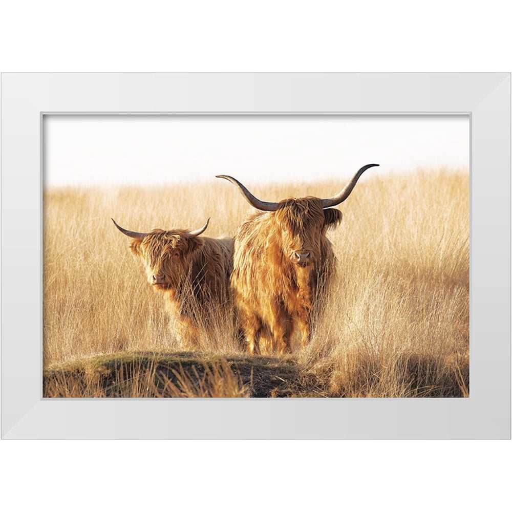 Van Den, Jaap 14x11 White Modern Wood Framed Museum Art Print Titled ...