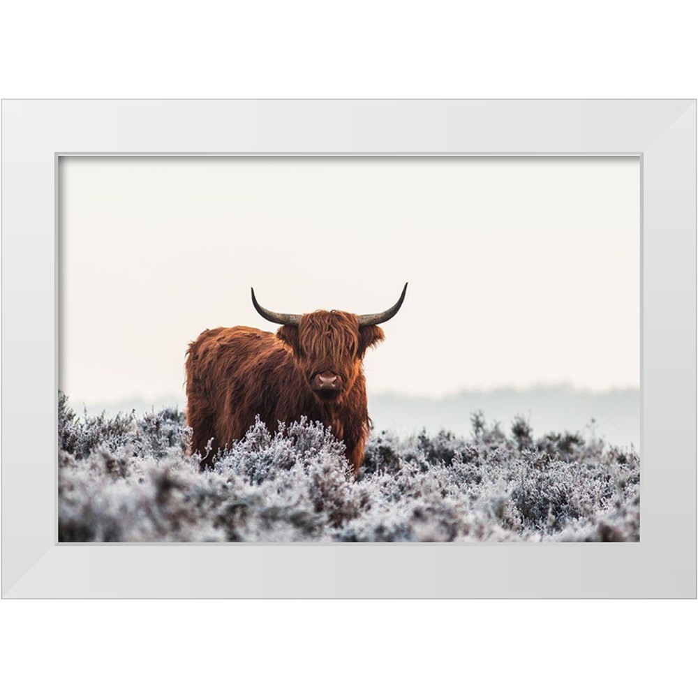 Den, Van 18x13 White Modern Wood Framed Museum Art Print Titled ...