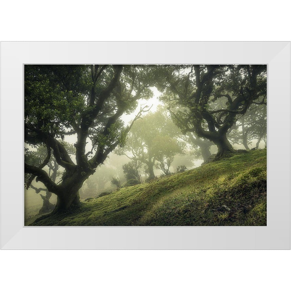 Van Der, Frans 14x11 White Modern Wood Framed Museum Art Print Titled ...