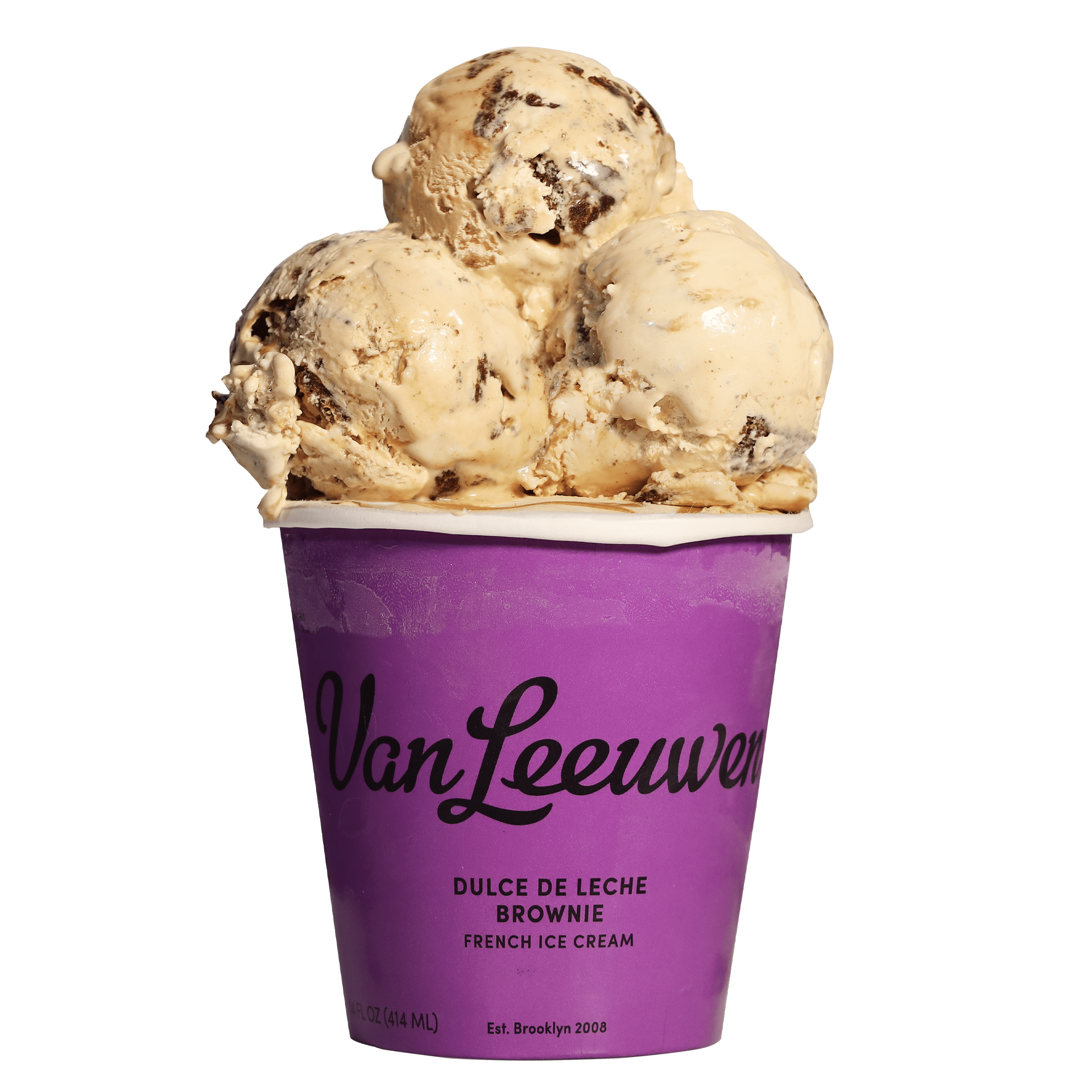 Van Leeuwen Artisan French Dulce De Leche Brownie Flavored Ice Cream ...