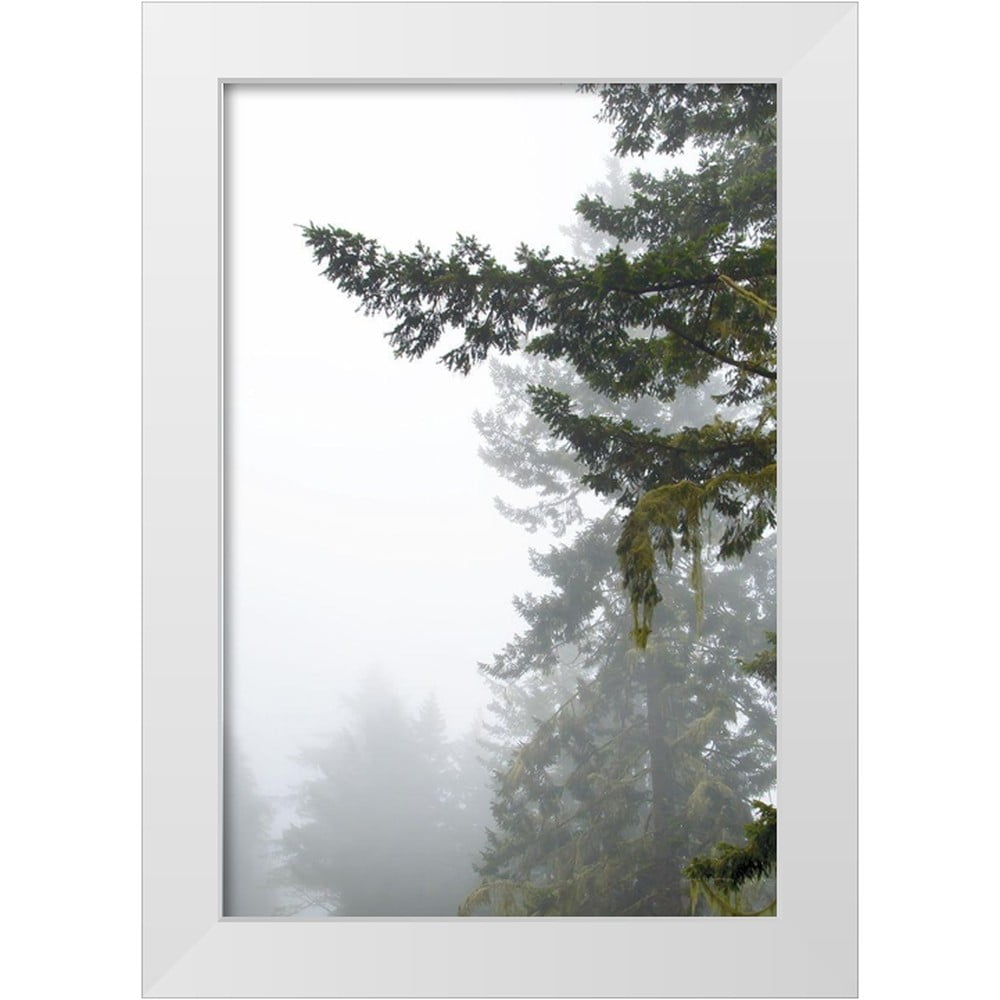 Van Swearingen, Debra 11x14 White Modern Wood Framed Museum Art Print ...