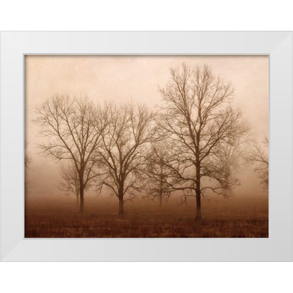 Van Swearingen, Debra 14x12 White Modern Wood Framed Museum Art Print ...