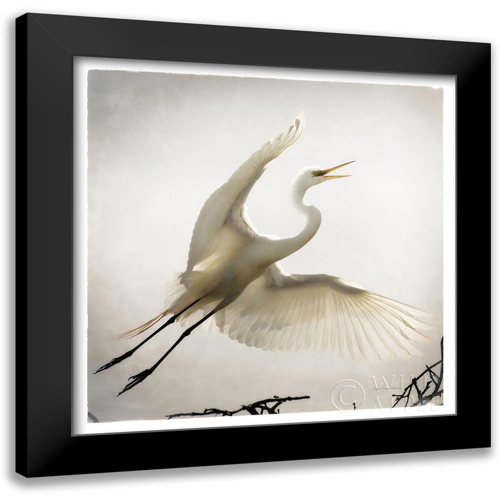 Van Swearingen, Debra 15x15 Black Modern Framed Museum Art Print Titled ...