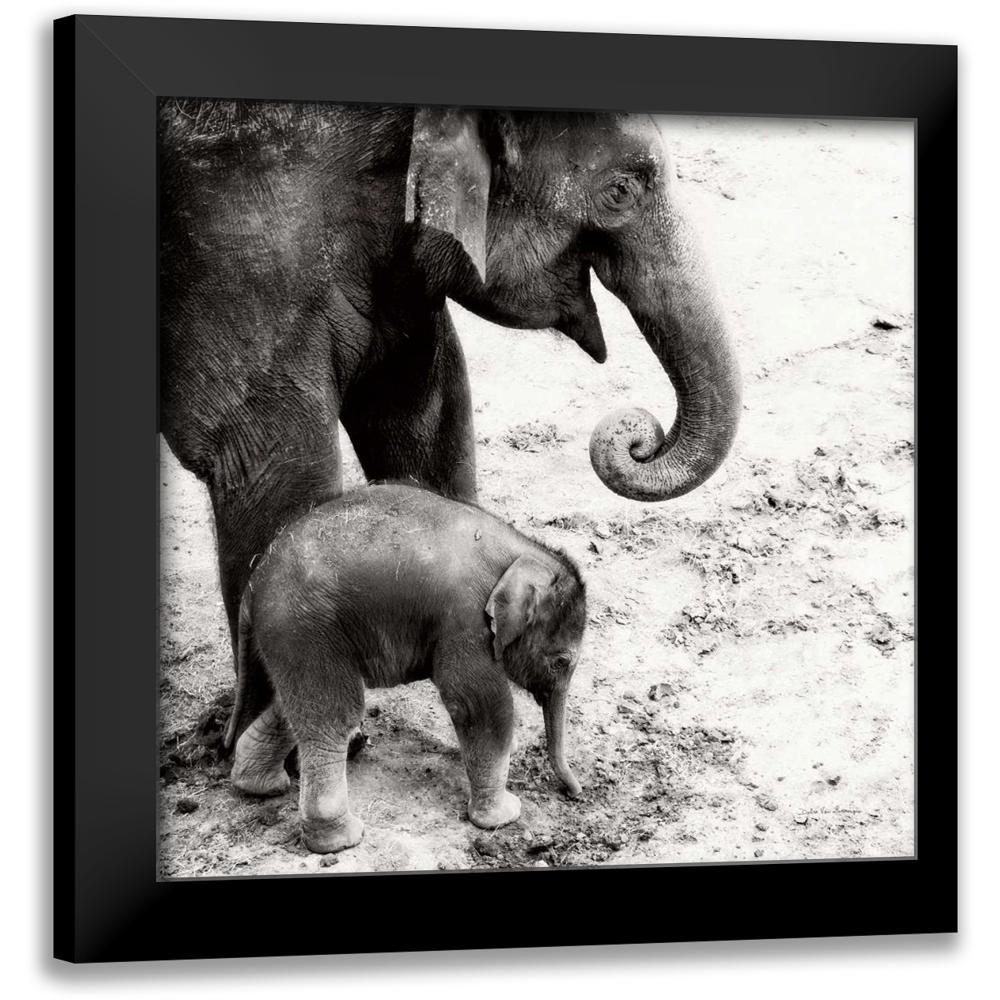 Van Swearingen, Debra 15x15 Black Modern Framed Museum Art Print Titled ...