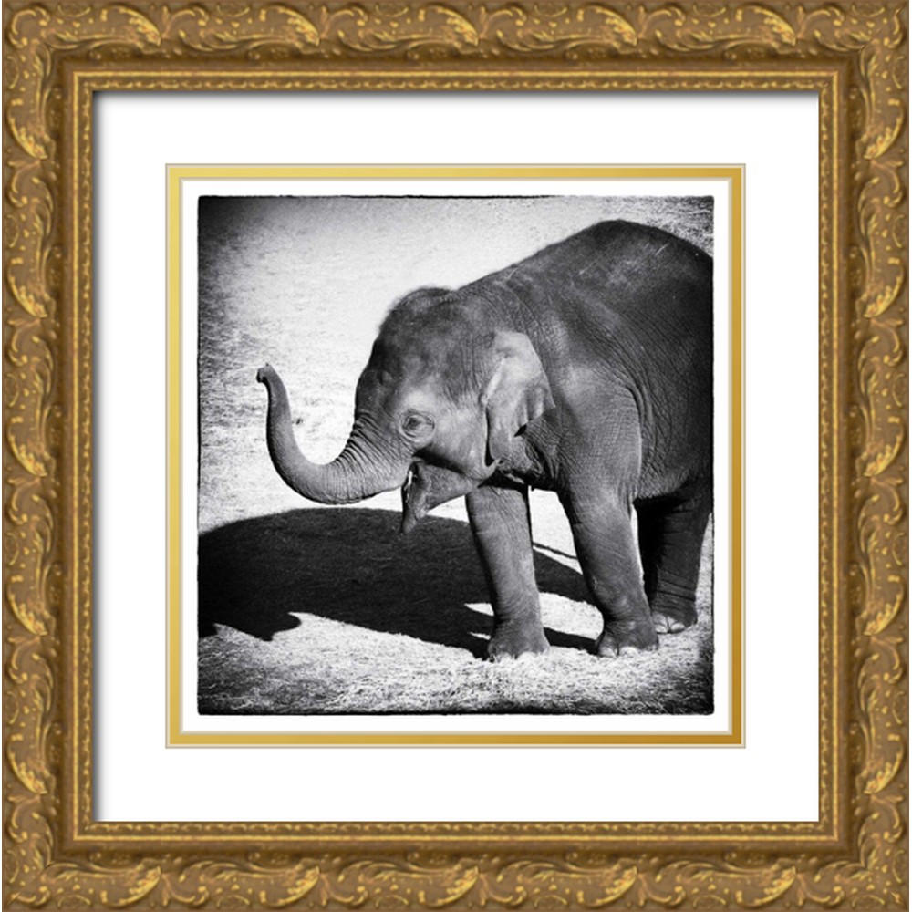 Van Swearingen, Debra 15x15 Gold Ornate Wood Framed with Double Matting ...