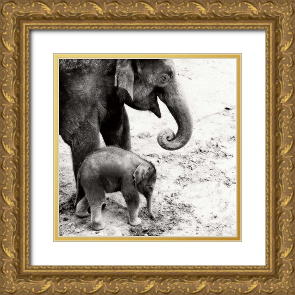 Van Swearingen, Debra 15x15 Gold Ornate Wood Framed with Double Matting ...