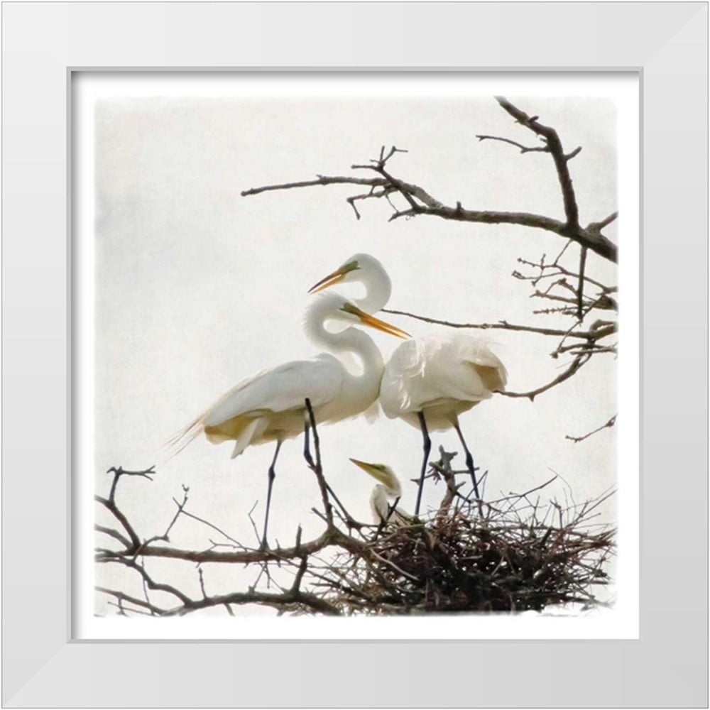 Van Swearingen, Debra 15x15 White Modern Wood Framed Museum Art Print ...