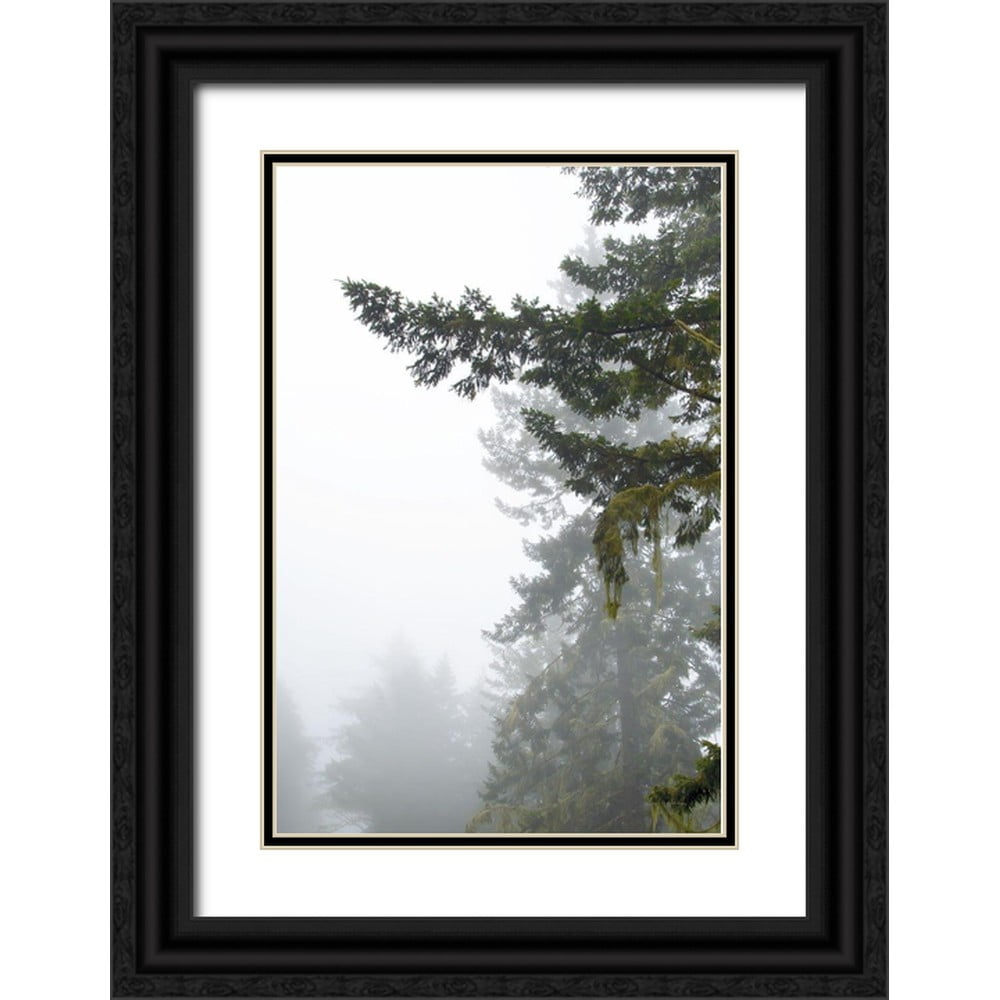 Van Swearingen, Debra 17x24 Black Ornate Wood Framed with Double ...