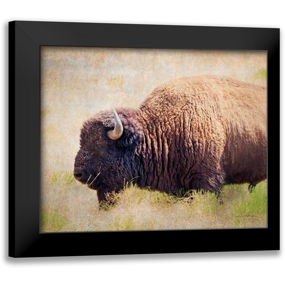 Van Swearingen, Debra 18x15 Black Modern Framed Museum Art Print Titled ...