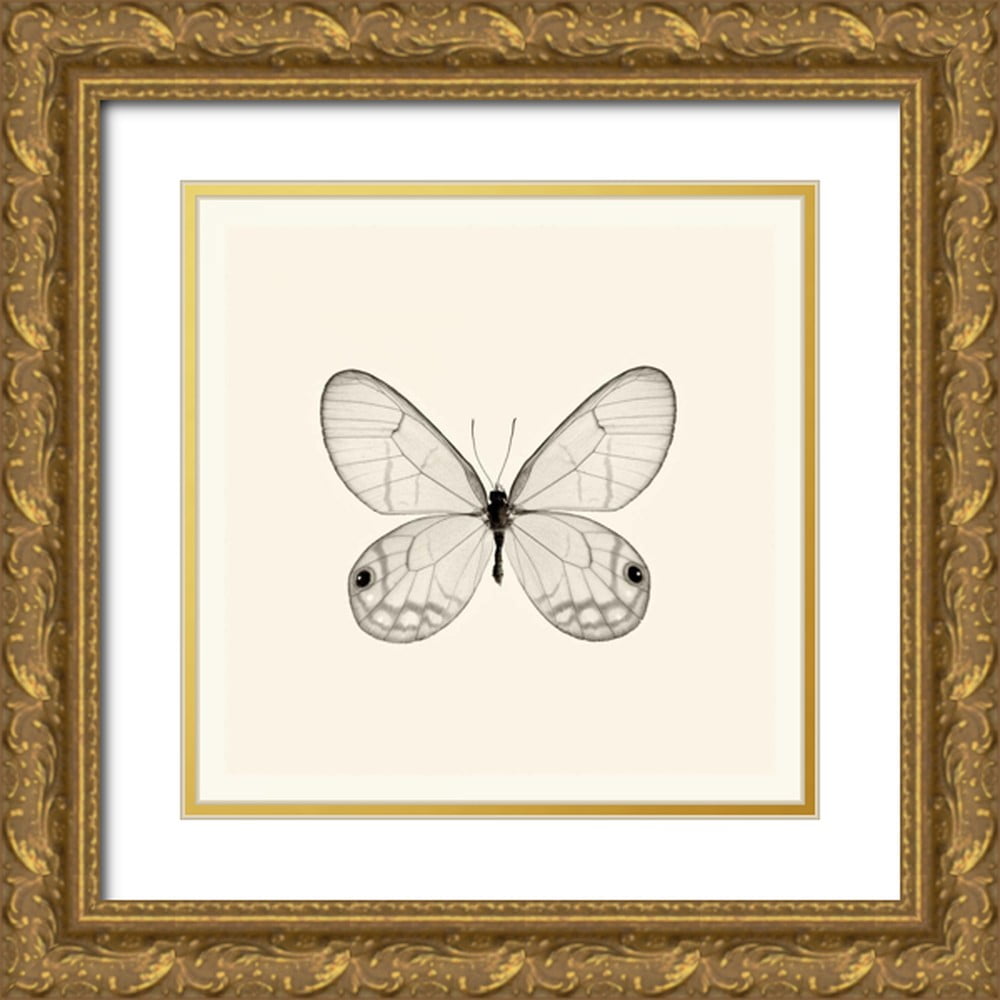 Van Swearingen, Debra 26x26 Gold Ornate Wood Framed with Double Matting ...