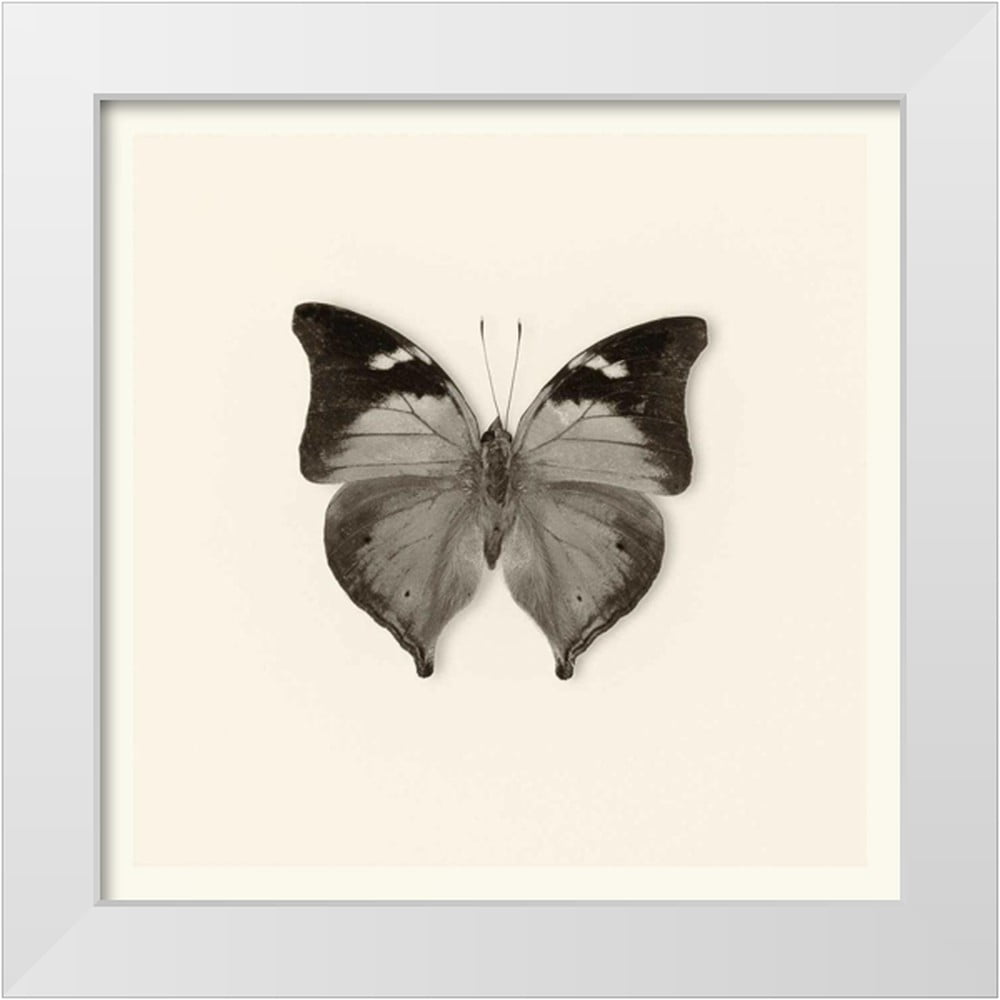 Van Swearingen, Debra 26x26 White Modern Wood Framed Museum Art Print ...