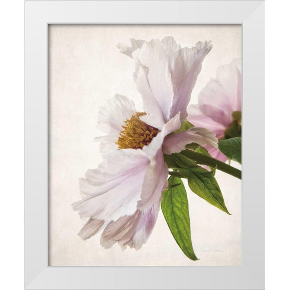 Van Swearingen, Debra 26x32 White Modern Wood Framed Museum Art Print ...
