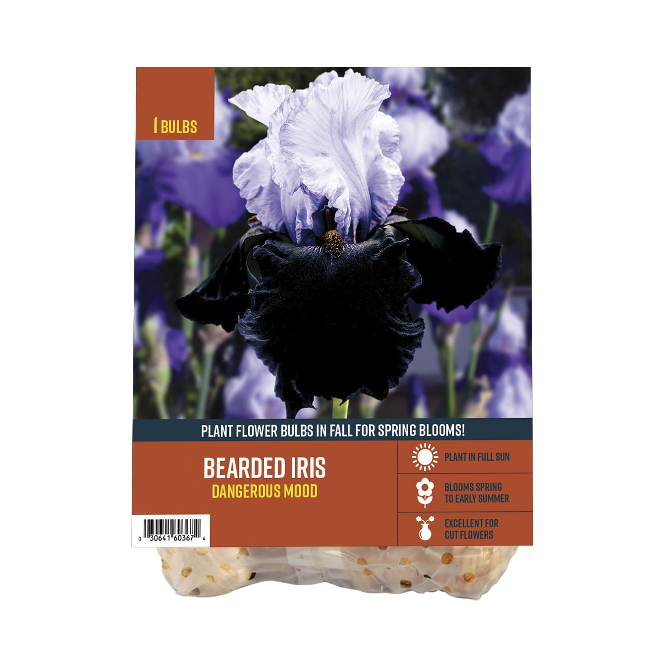 Van Zyverden's Bearded Iris Dangerous Mood (1 Dormant Bulb) Partial Sun ...