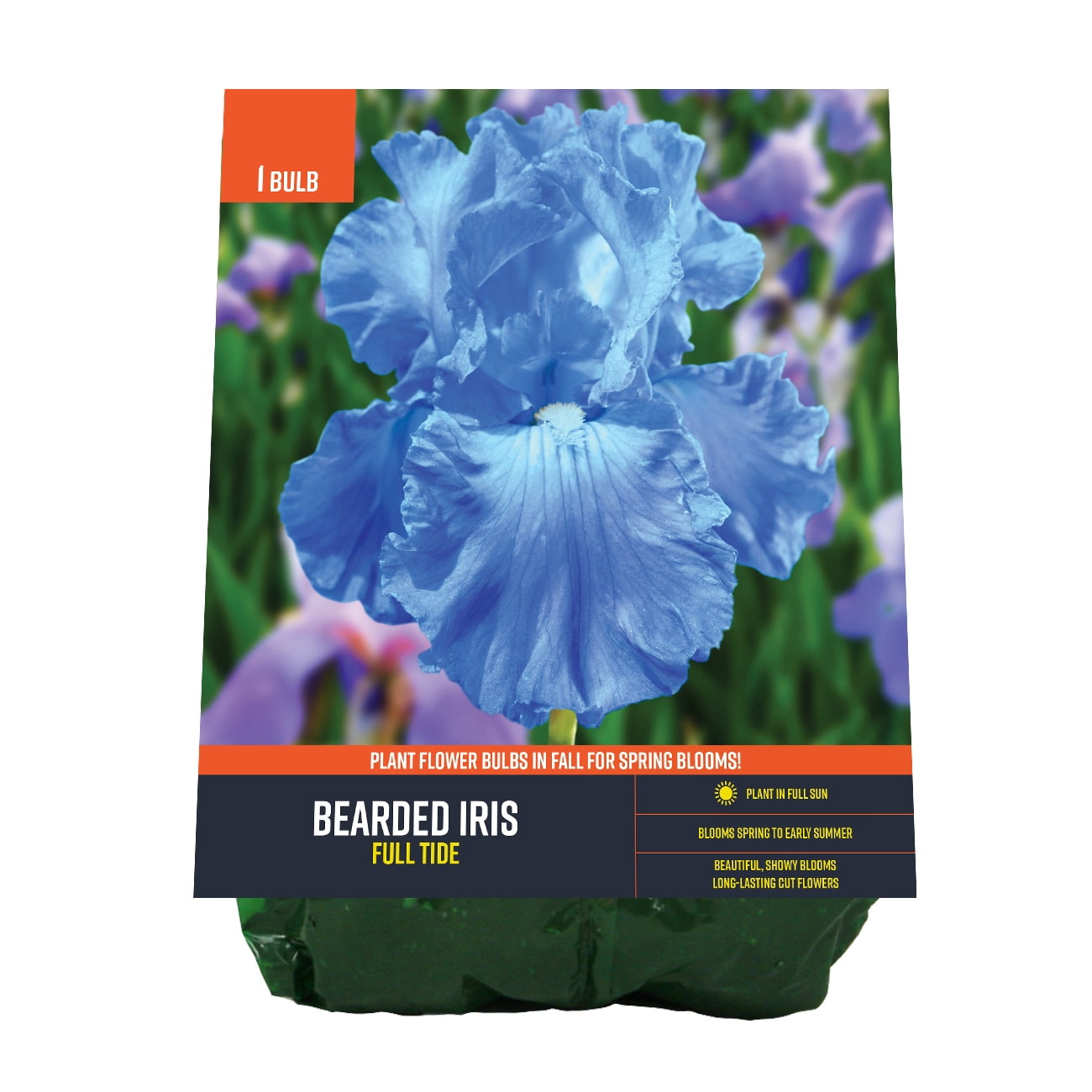 Van Zyverden's Bearded Iris Full Tide (1 Dormant Bulb) Partial Sun ...
