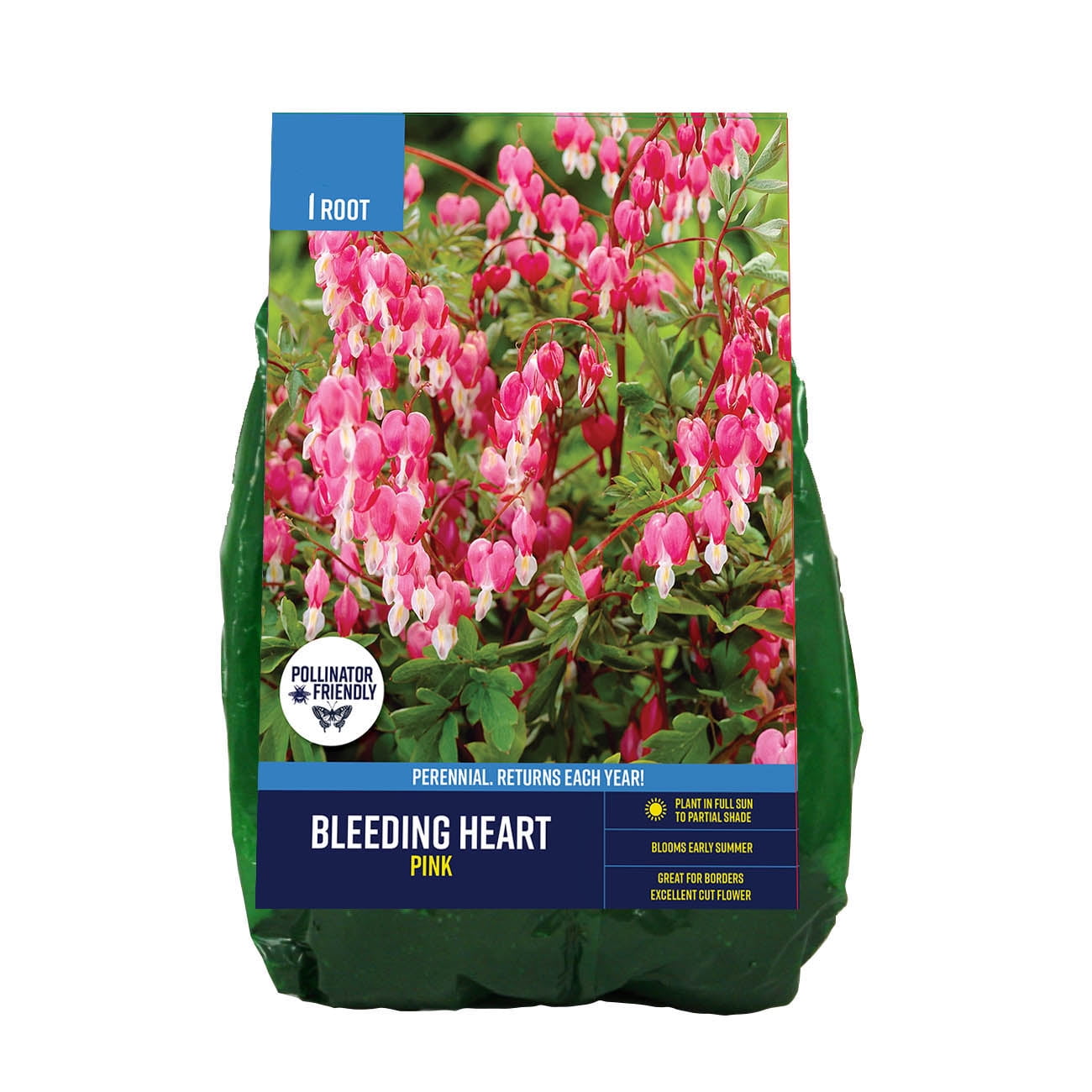Expert Gardener Bleeding Heart Pink Dormant Perennial Bare Root, Heart ...