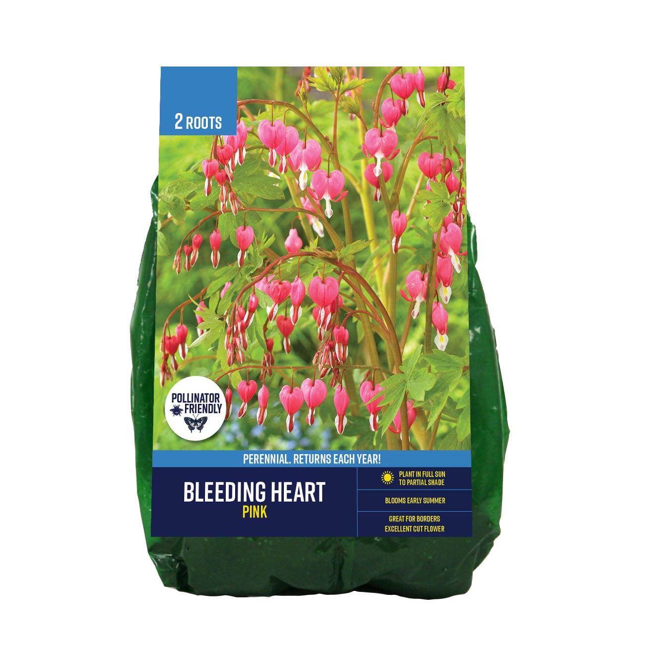 Van Zyverden Bleeding Heart Pink (Set of 2 Dormant Bare Roots) Partial ...