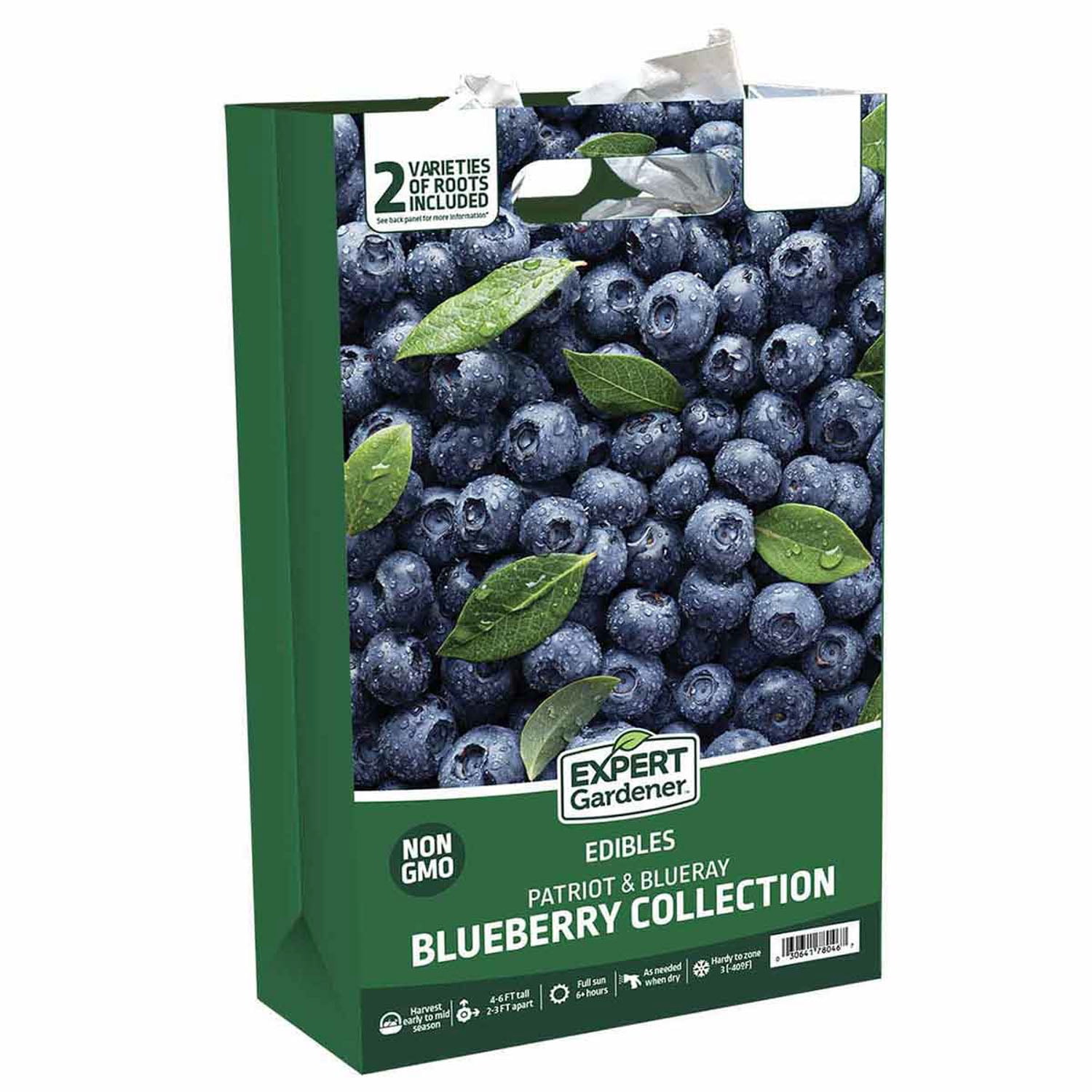 Expert Gardener Blueberry Collection #1 (Set of 2 Dormant Bare Roots ...
