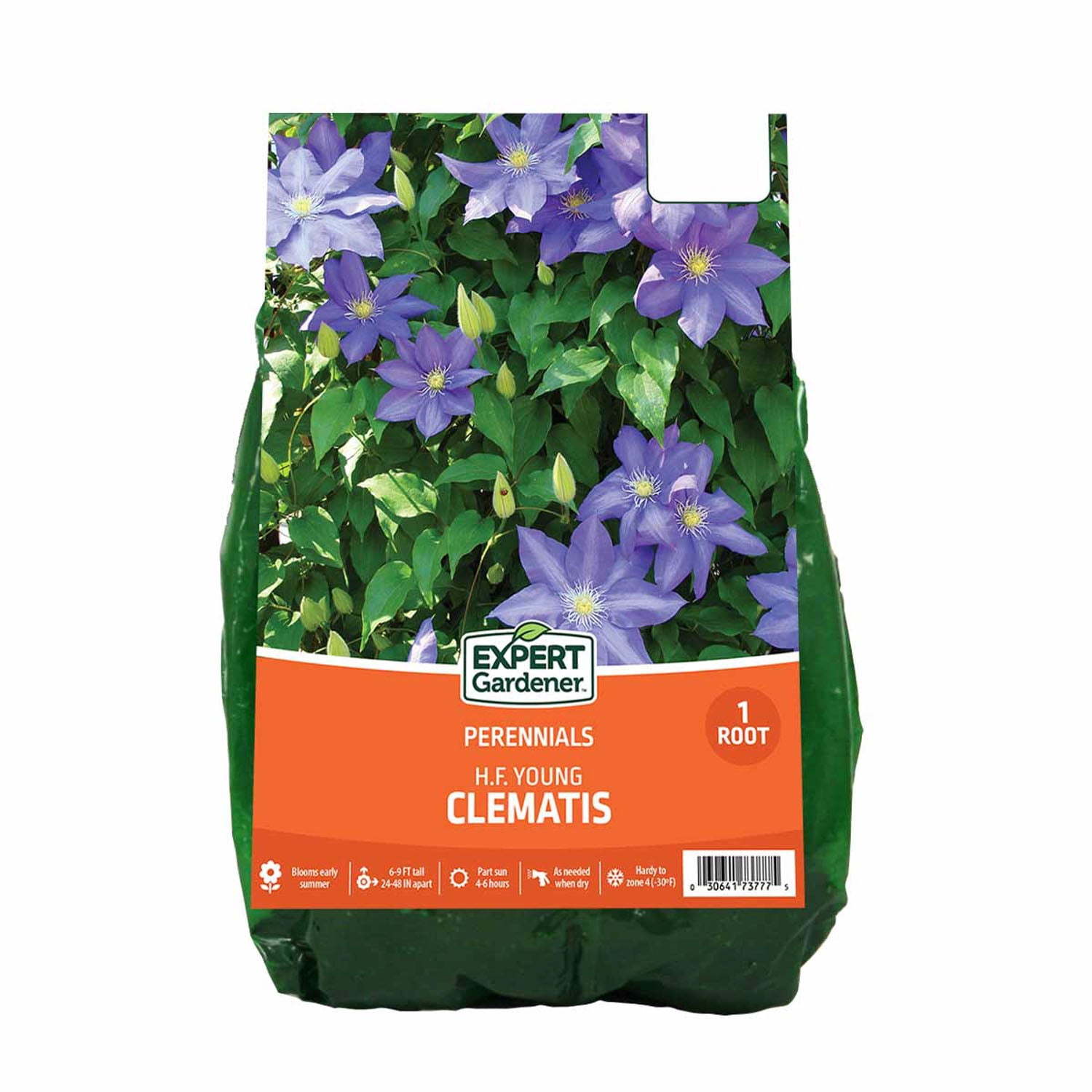 Expert Gardener Clematis HF Young Dormant Bare Root Purple Perennial ...