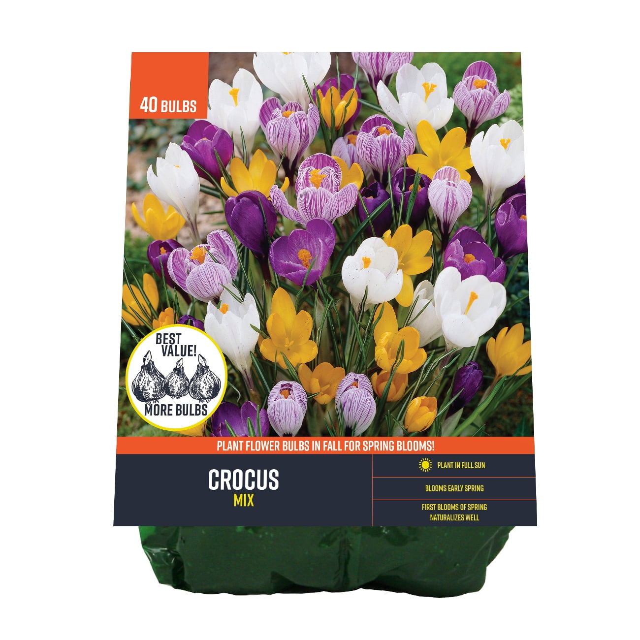 Van Zyverden's Crocus Mix (Set of 40 Dormant Bulbs) Full Sun ...