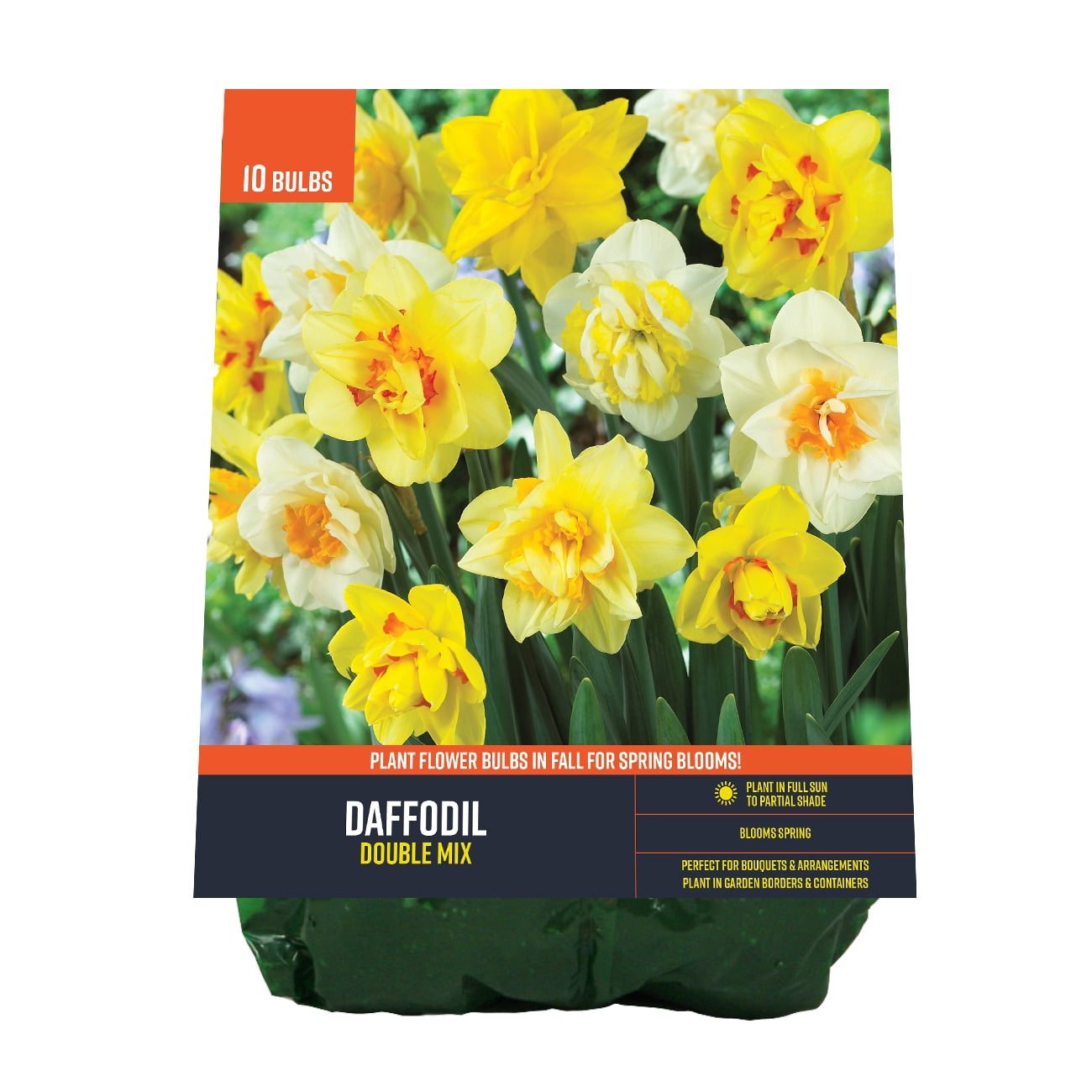 Van Zyverden Daffodil Double Mix (Set of 10 Dormant Bulbs) Partial Sun ...