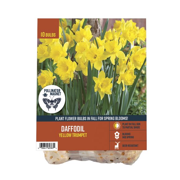 Daffodil Bulbs in Plant Bulbs - Walmart.com