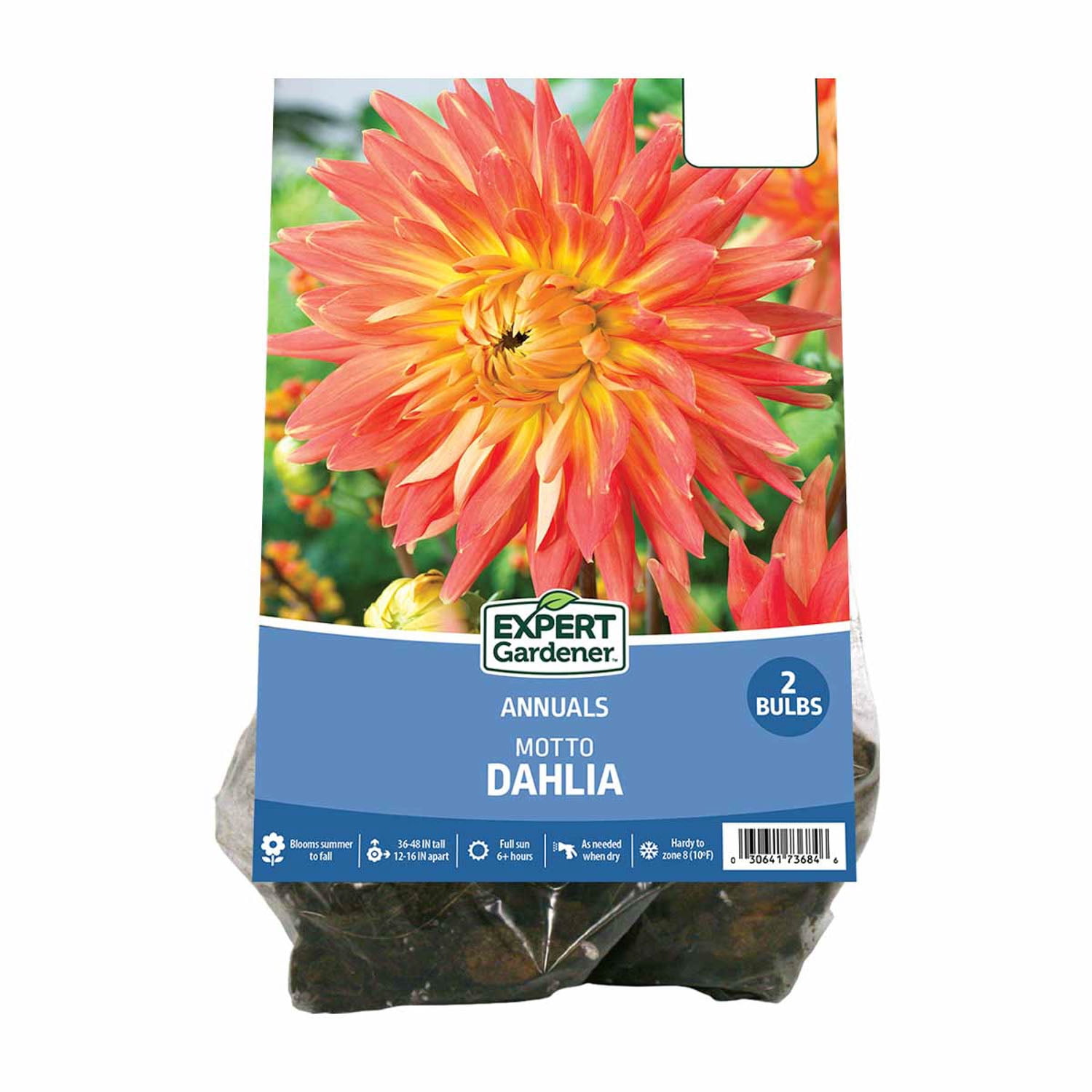 Expert Gardener Dahlia Motto (Set of 2 Dormant Bulbs) Full Sun, Multi ...