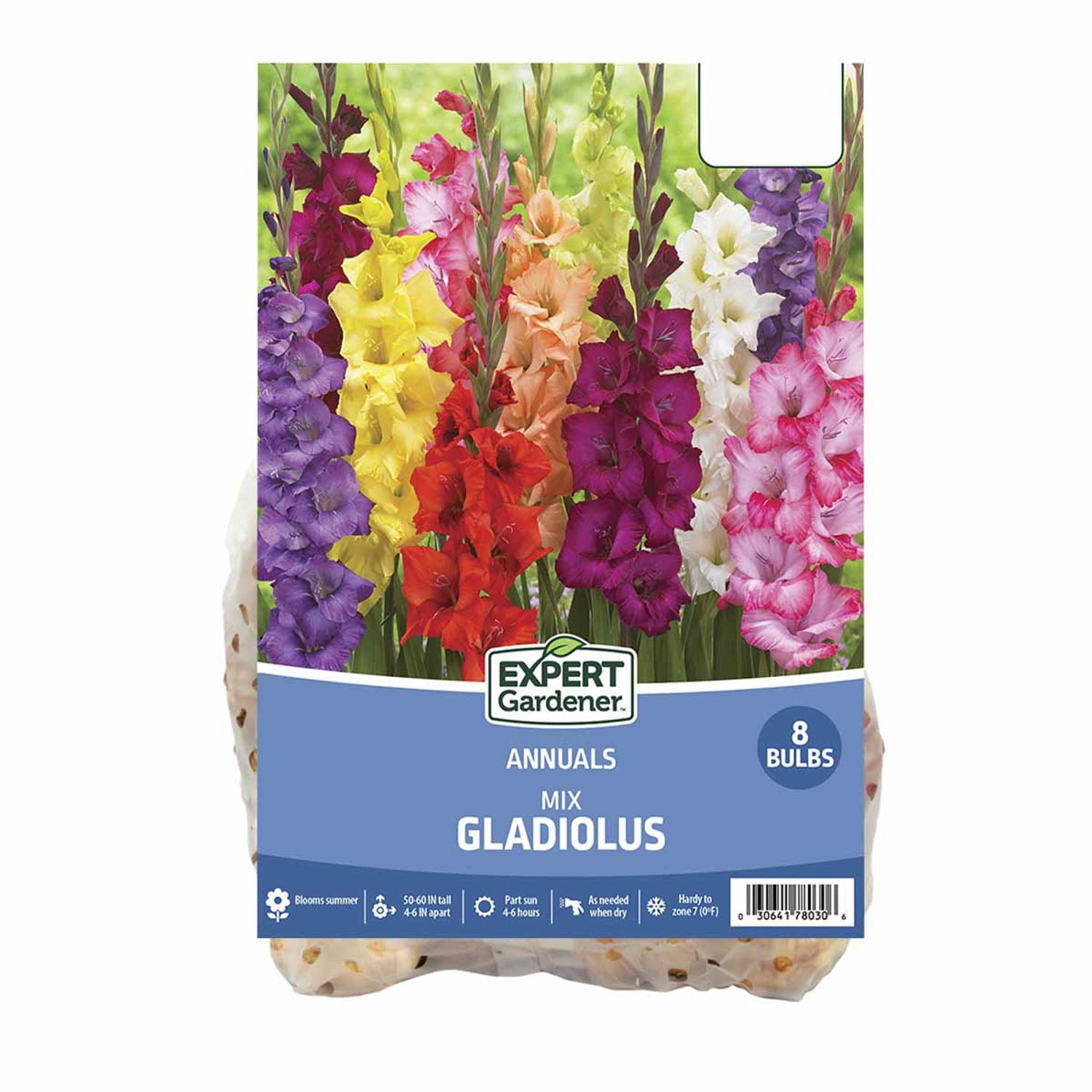 Expert Gardener Gladiolus Mix Set of 8 Dormant Bulbs Multi-Color for ...