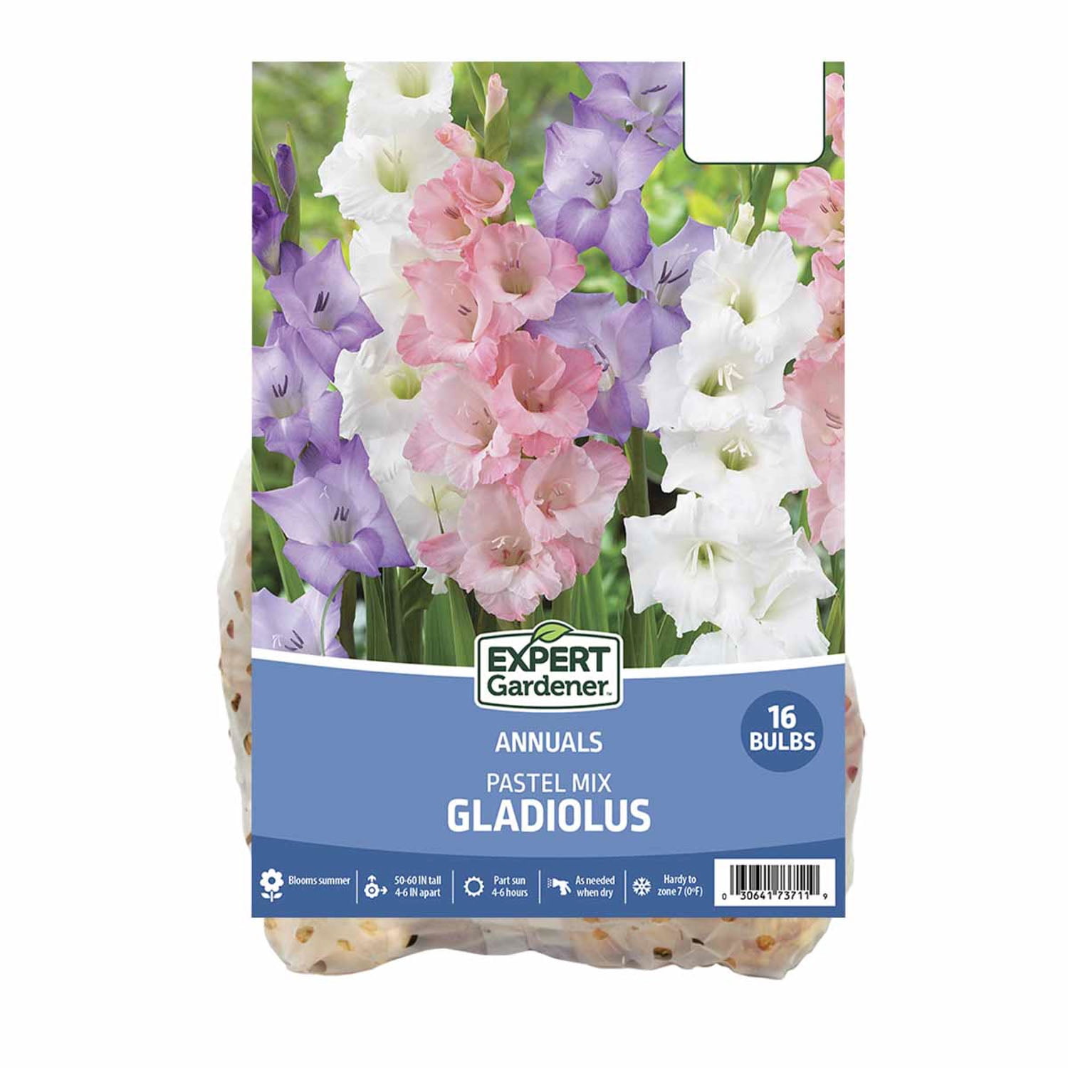 Expert Gardener Gladiolus Pastel Mix 16 Dormant Bulbs Partial Sun Multi ...