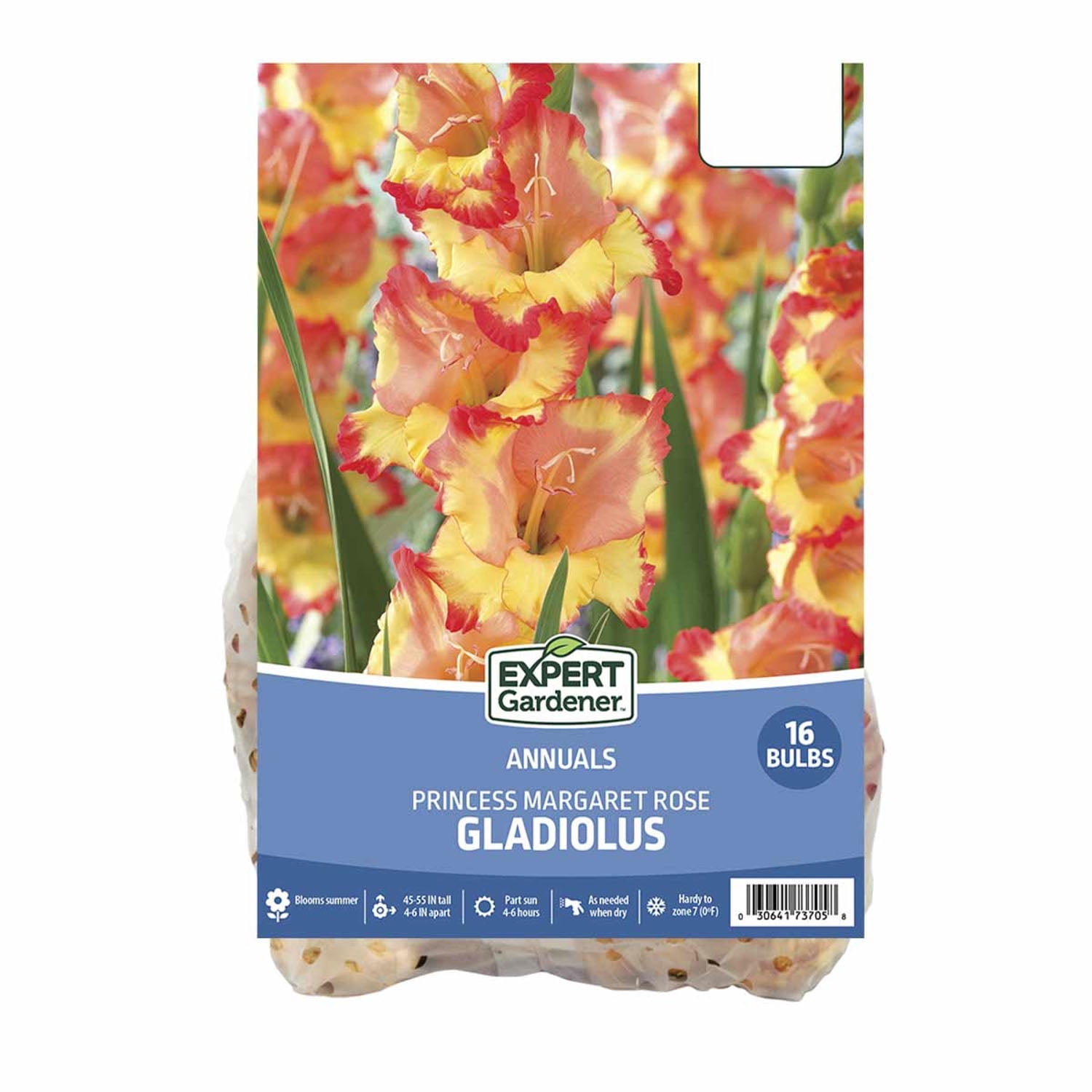 Expert Gardener Gladiolus Princess Margaret Rose Bulbs, Set of 16 ...