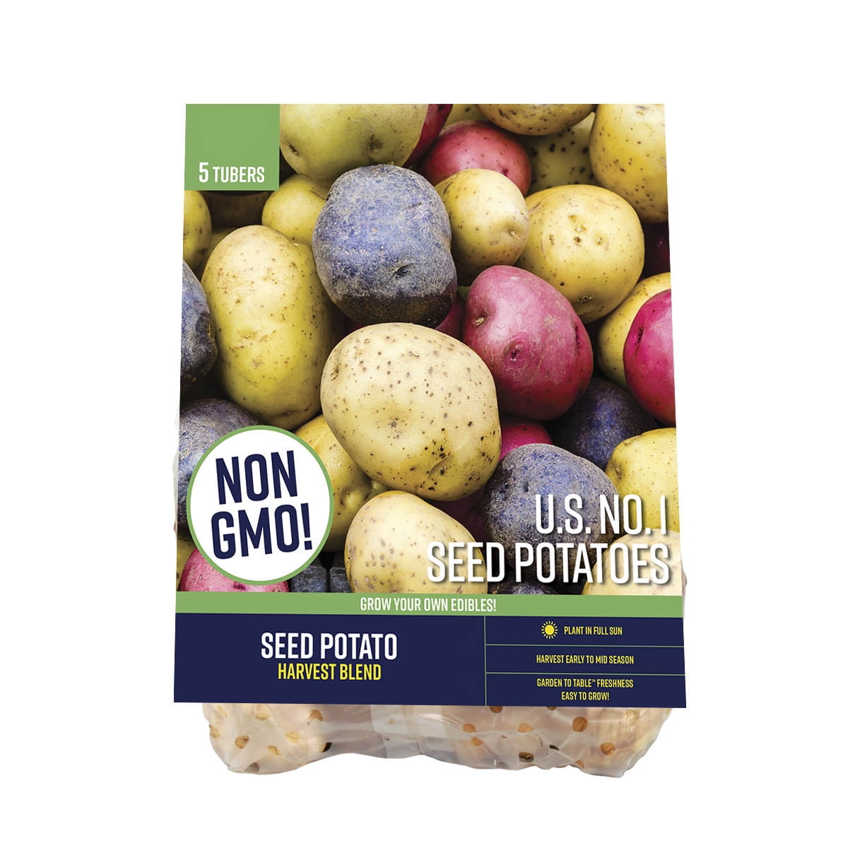 Expert Gardener Harvest Blend Seed Potatoes Set of 5 Dormant Tubers ...