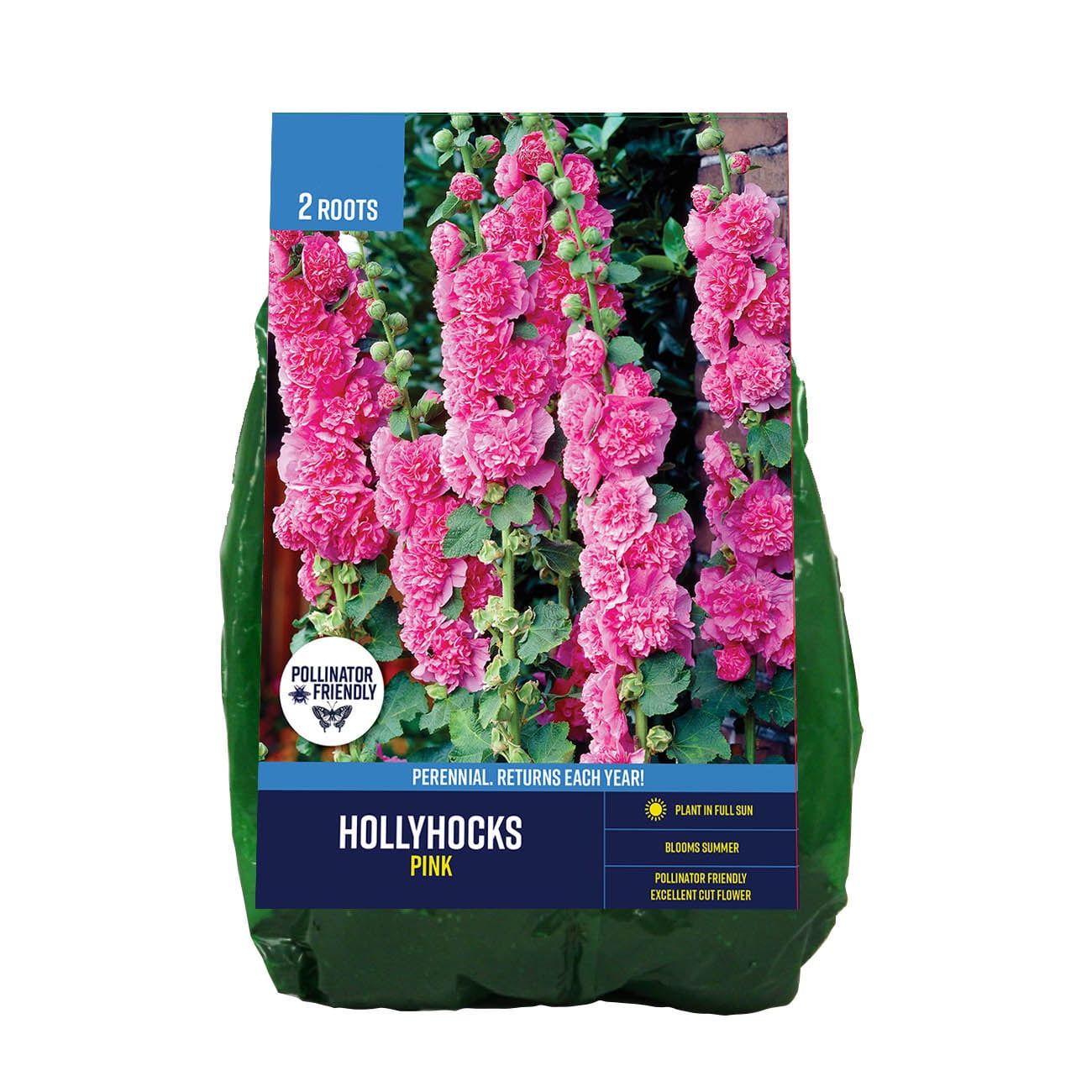 Spring Bulbs in Plant Bulbs - Walmart.com