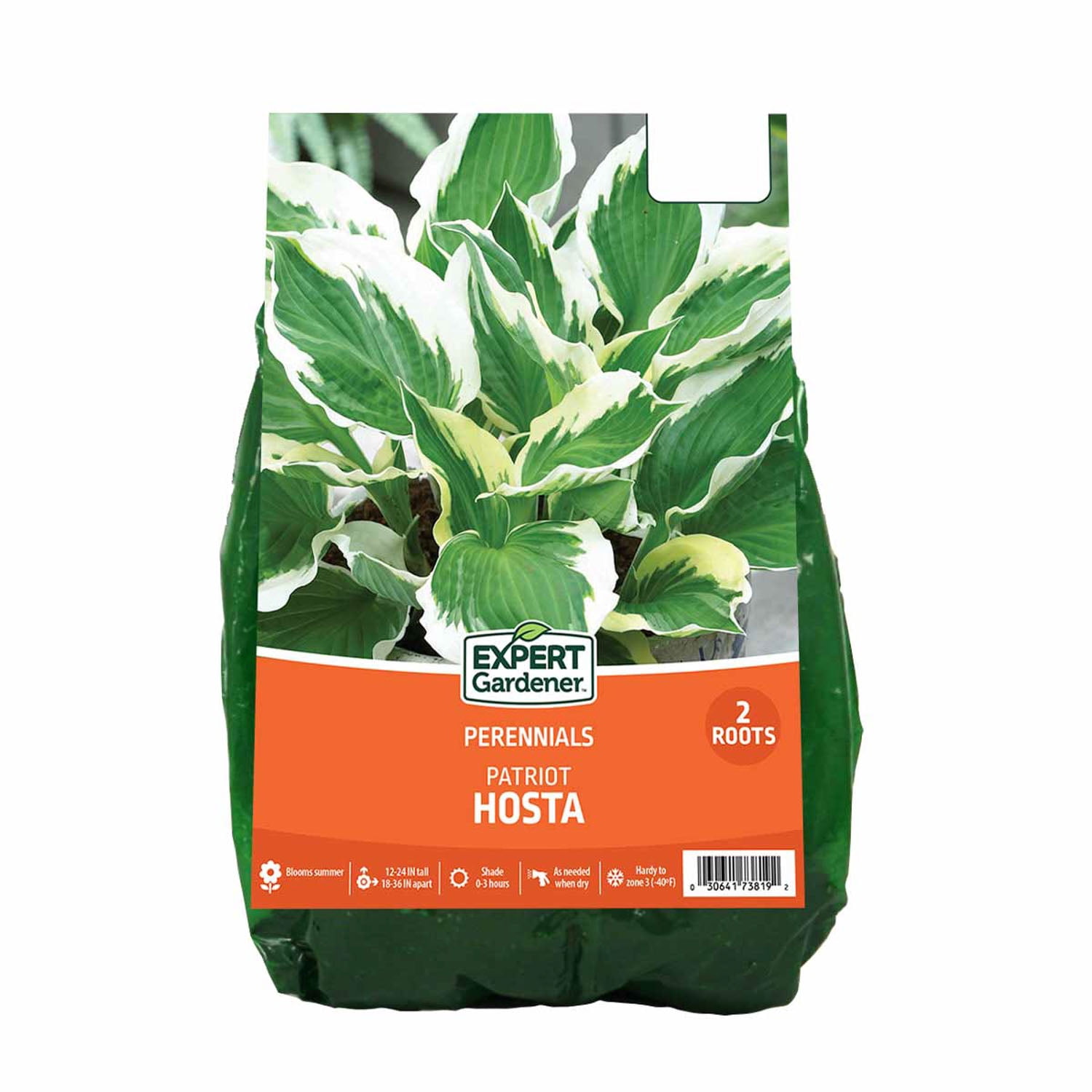 Expert Gardener Hosta Patriot Set - Two Dormant Bare Roots, Perennial ...