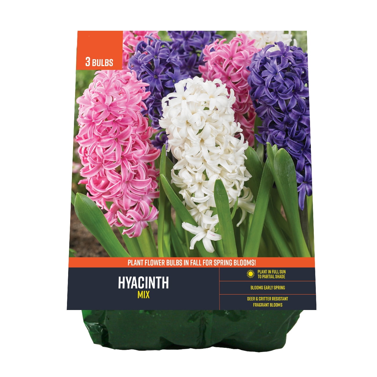 Van Zyverden Hyacinth Mix (Set of 3 Dormant Bulbs) Partial Sun ...