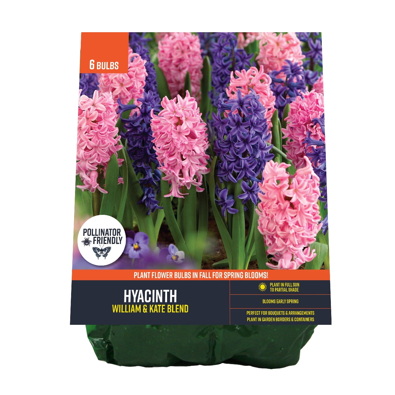 Van Zyverden's Hyacinth William and Kate (Set of 6 Dormant Bulbs ...