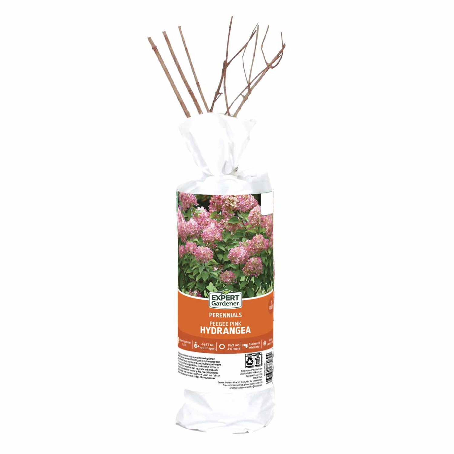 Expert Gardener Hydrangea Peegee Pink Dormant Bare Root Flowering ...