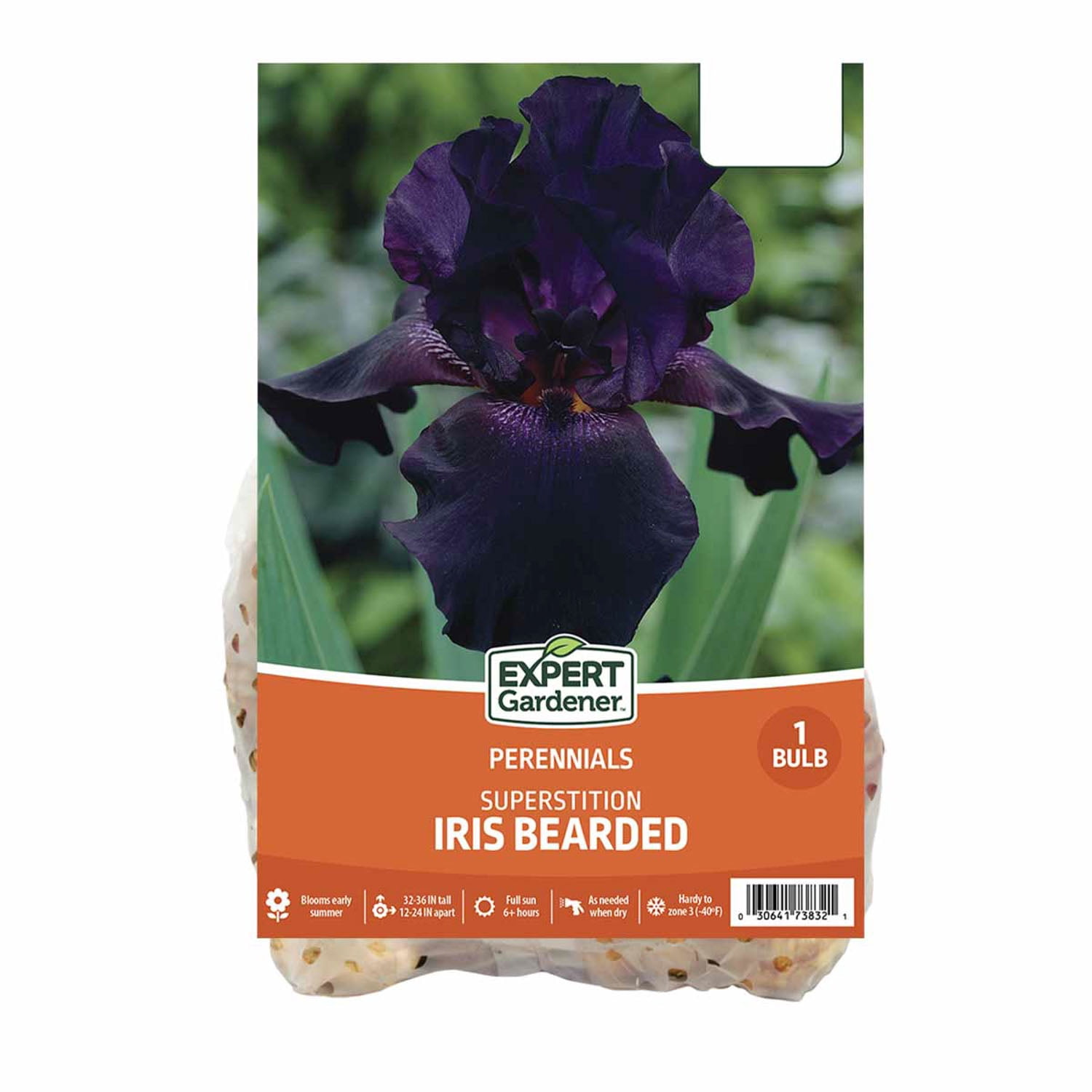 Expert Gardener Iris Bearded Superstition Dormant Bulb, Full Sun ...