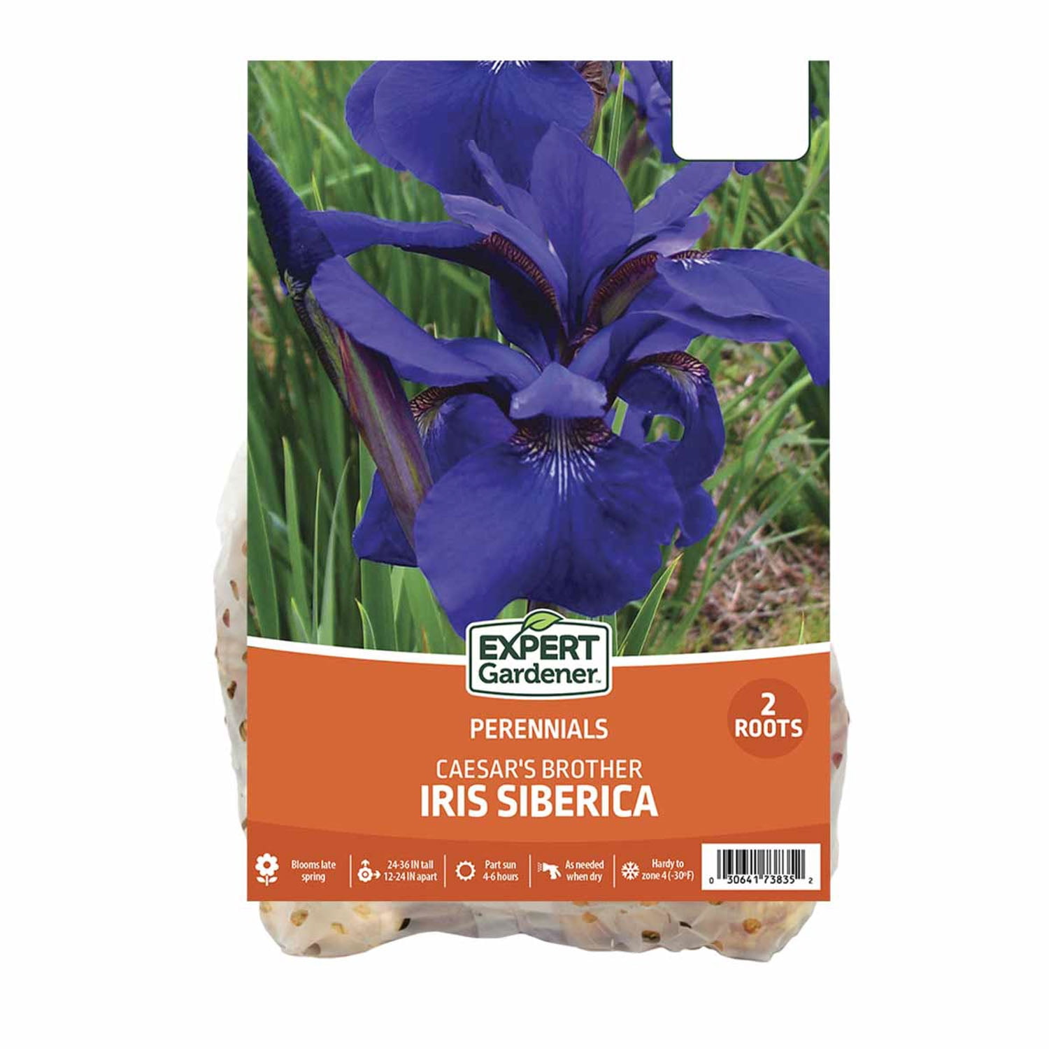 Expert Gardener Iris Siberica 'Caesar's Brother' Bare Roots Set of 2 ...