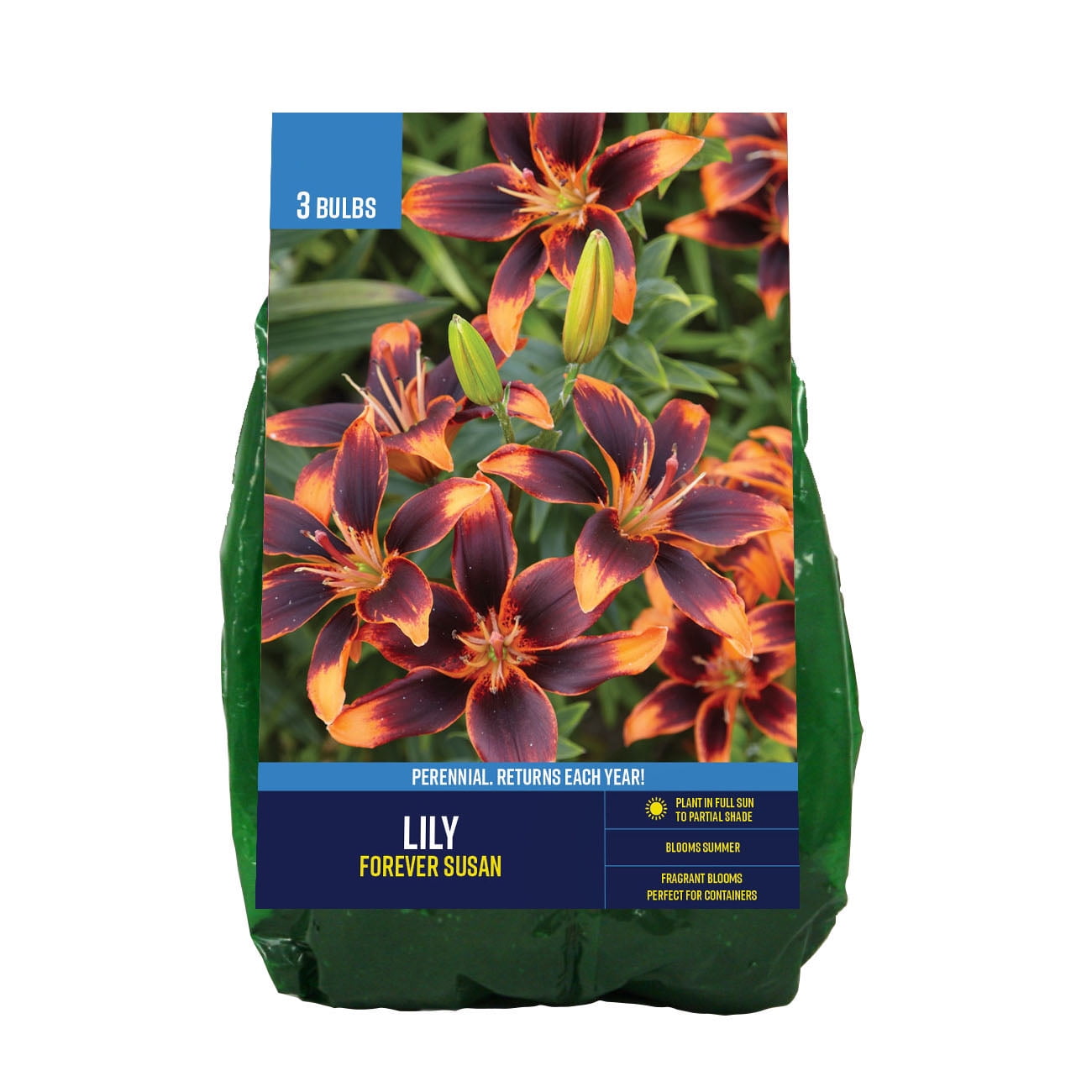 Van Zyverden Lily Forever Susan, Dormant Bulb, Partial Sun 3-6hrs ...