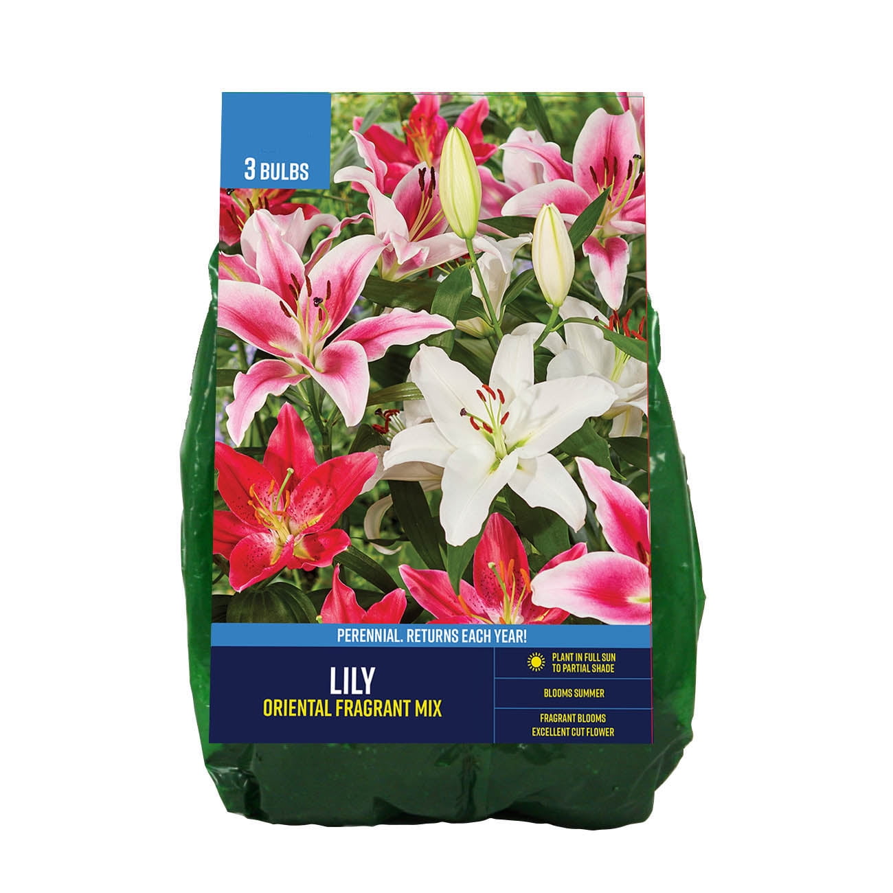 Van Zyverden Lily Oriental Mix (Set of 3 Dormant Bulbs) Partial Sun ...