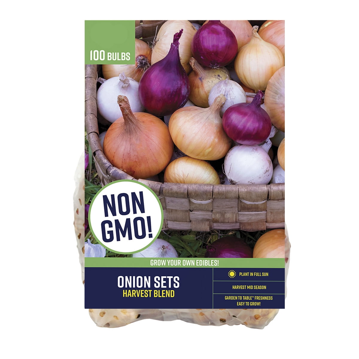 Van Zyverden Onion Harvest Blend Sets (Set of 100 Dormant Bulbs) Full ...