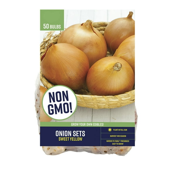 Onion Sets