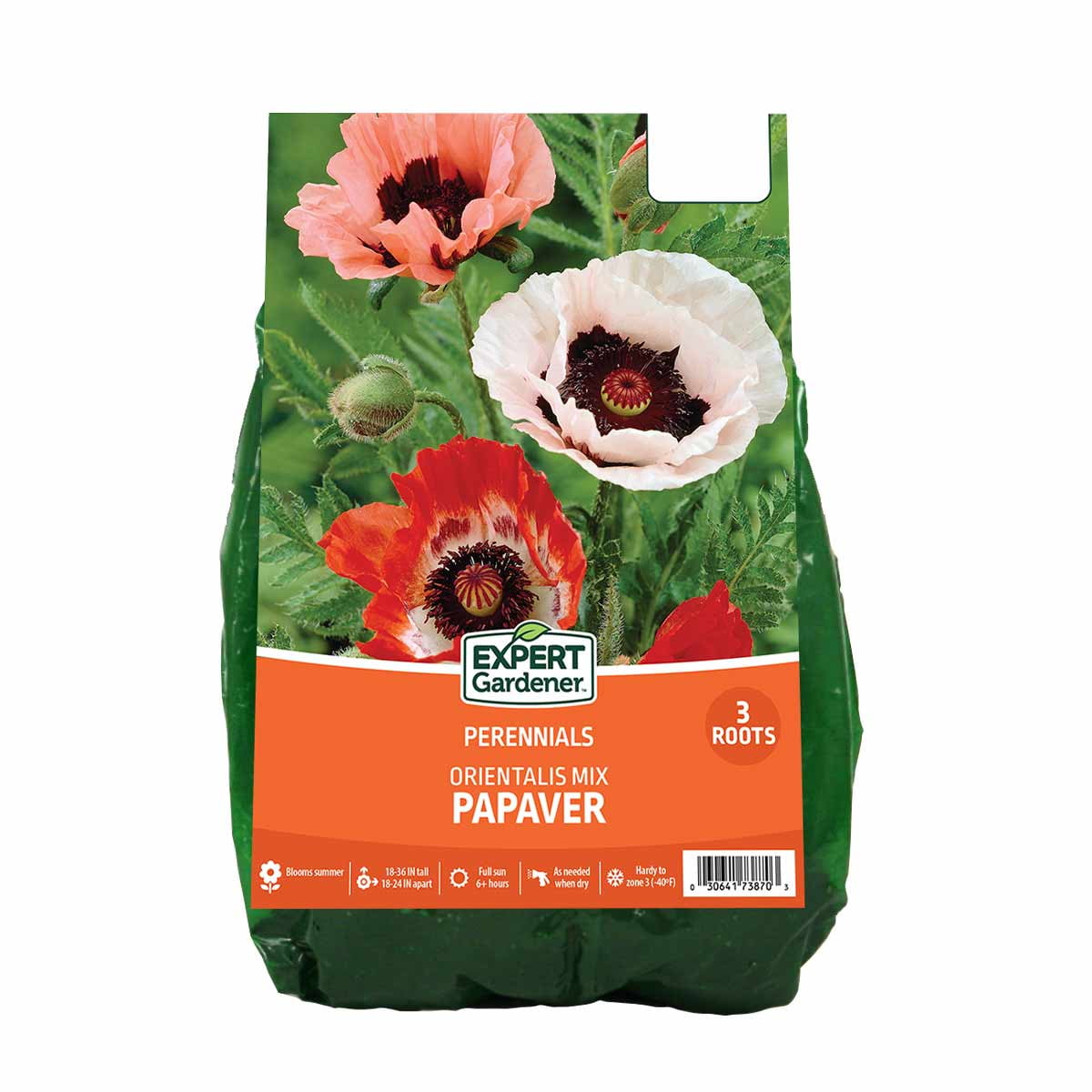 Expert Gardener Papaver Orientalis Mix (Set of 3 Dormant Bulbs) Full ...