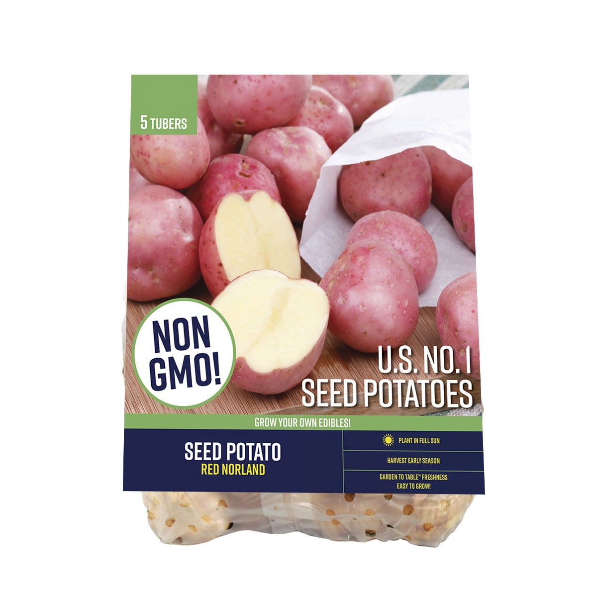 Van Zyverden Seed Potato Red Norland (Set of 5 Dormant Tubers) Full Sun ...
