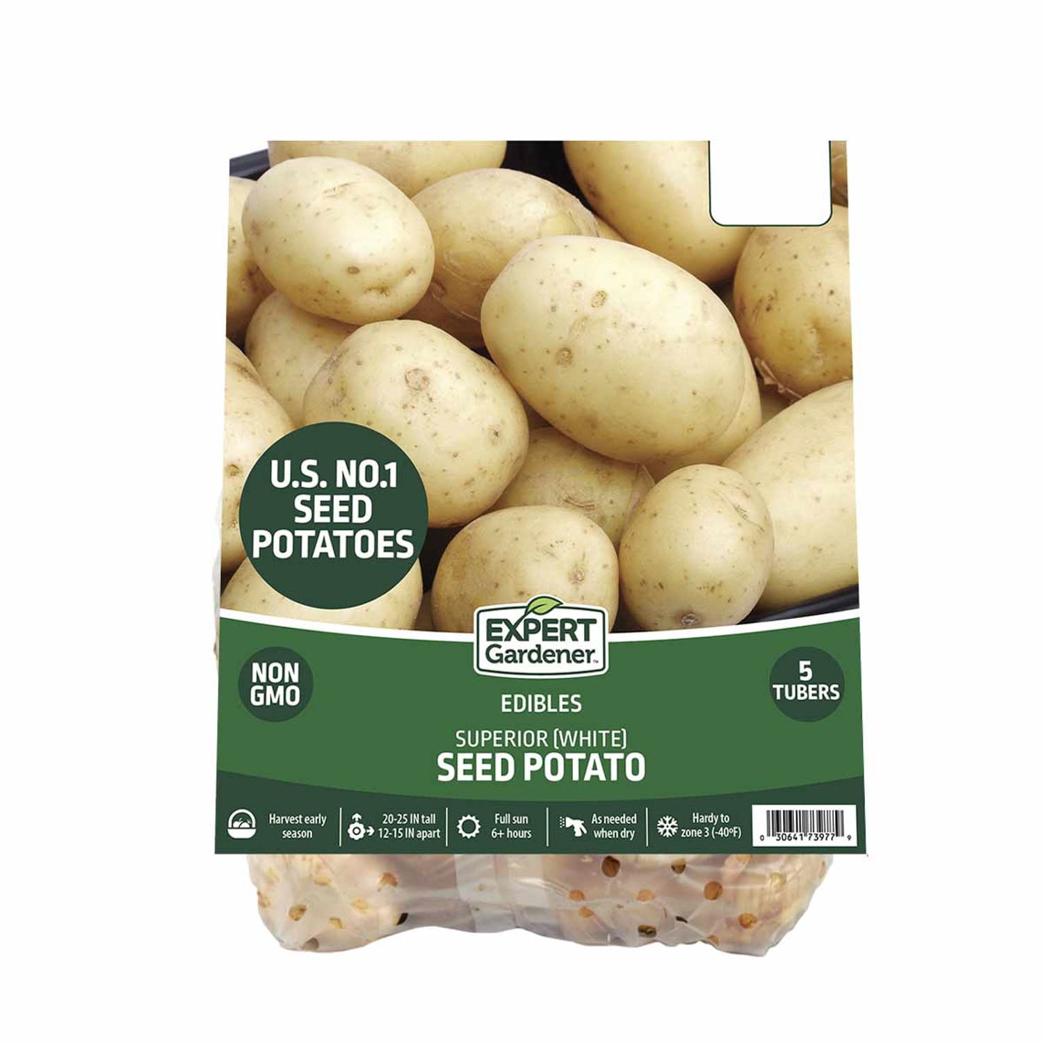 Expert Gardener White Superior Seed Potatoes, Set of 5 Dormant Tubers ...