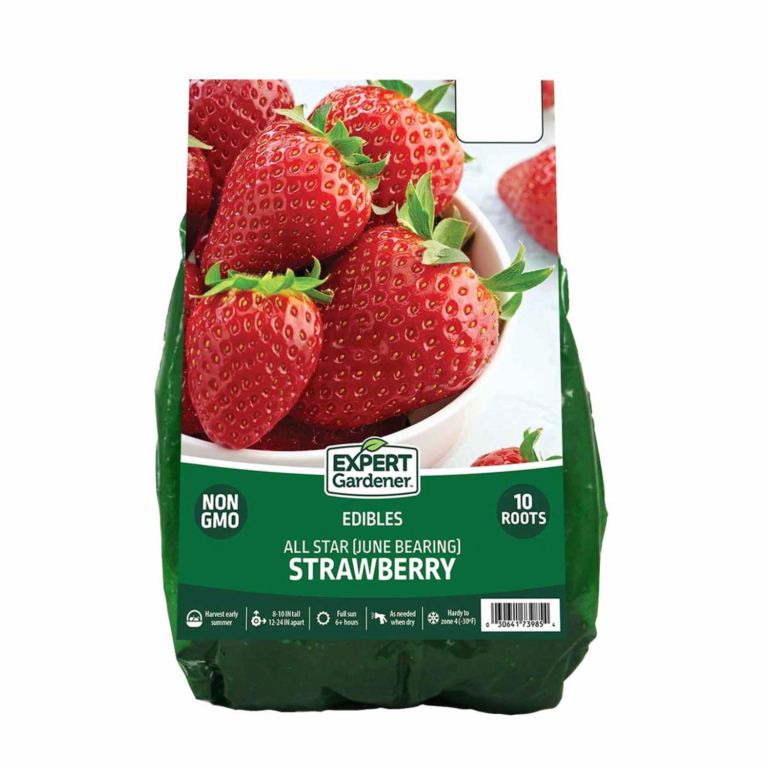 Expert Gardener Strawberry All Star Set of 10 Bare Roots for Full Sun ...