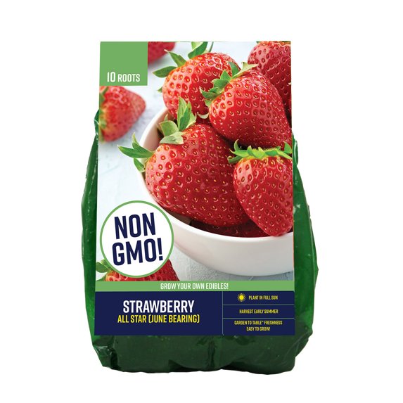 Van Zyverden Strawberry All Star (Set of 10 Bundled Dormant Bare Roots ...