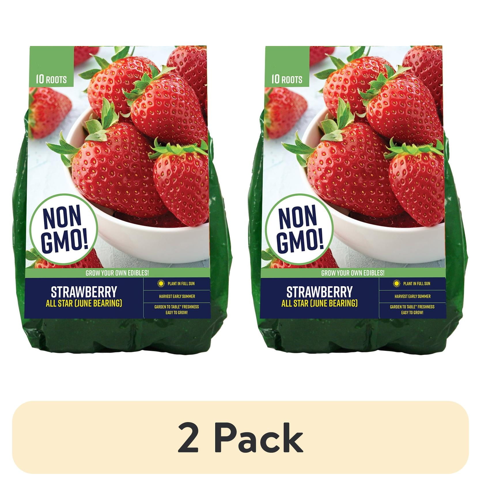 Customer reviews for (2 pack) Van Zyverden Strawberry All Star (June ...
